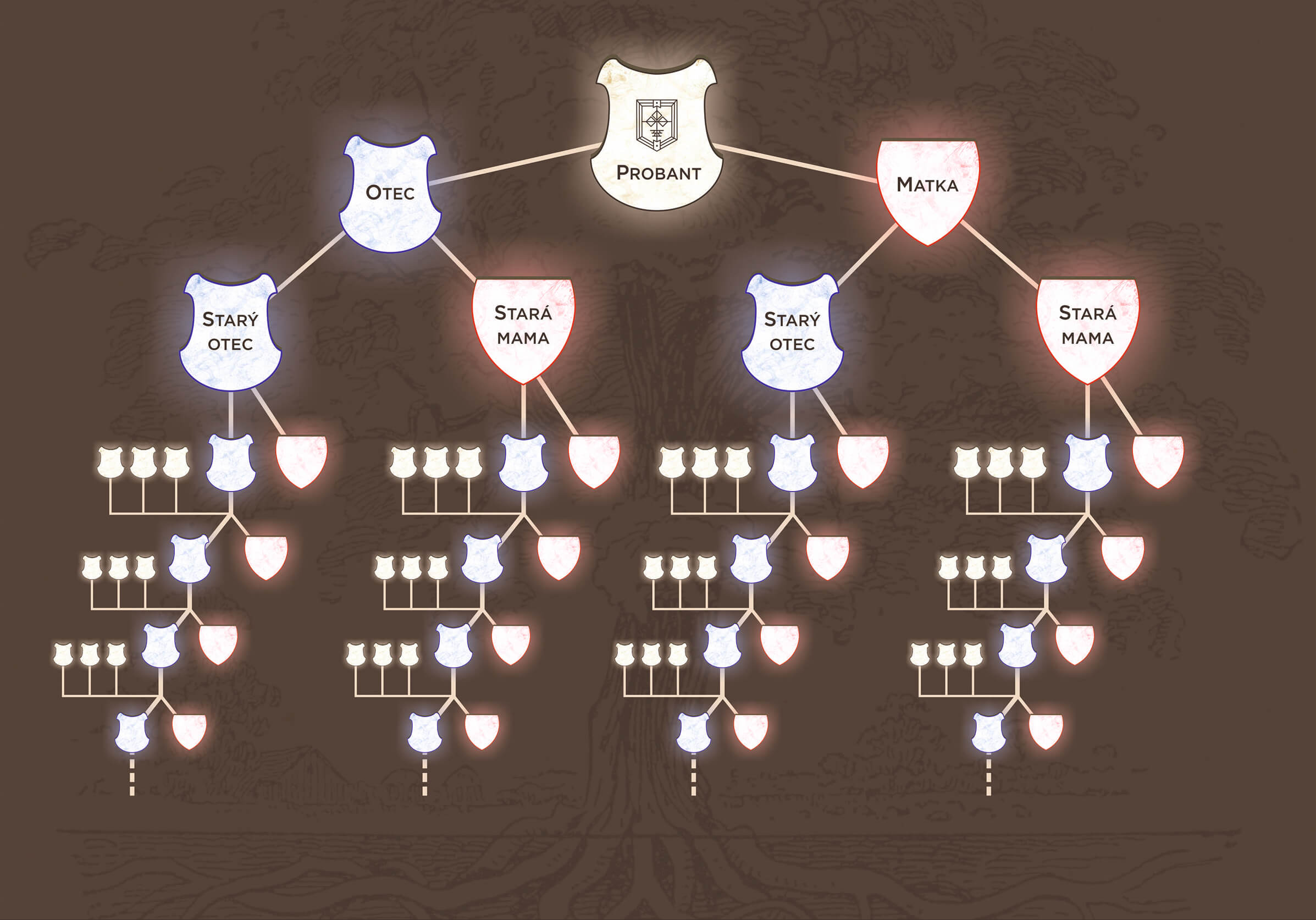 Rodokmeň s výskumom 4 rodov | DYNASTIC